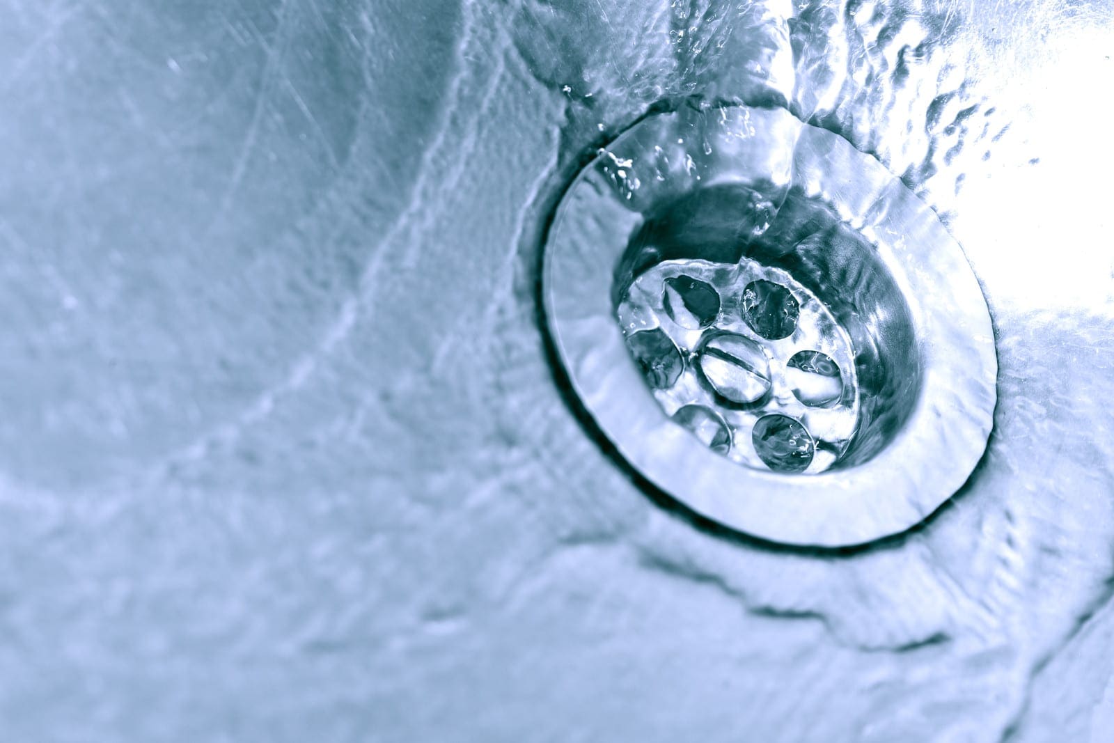 Honey Bee Drain Services